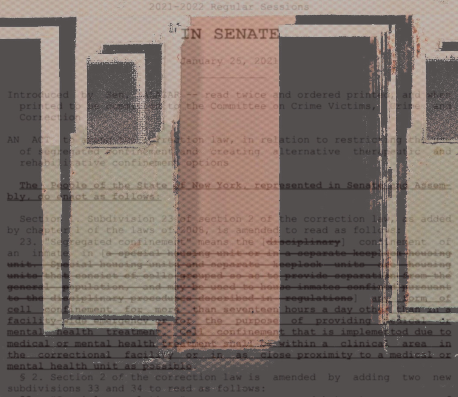 New York Focus | HALT Implementation