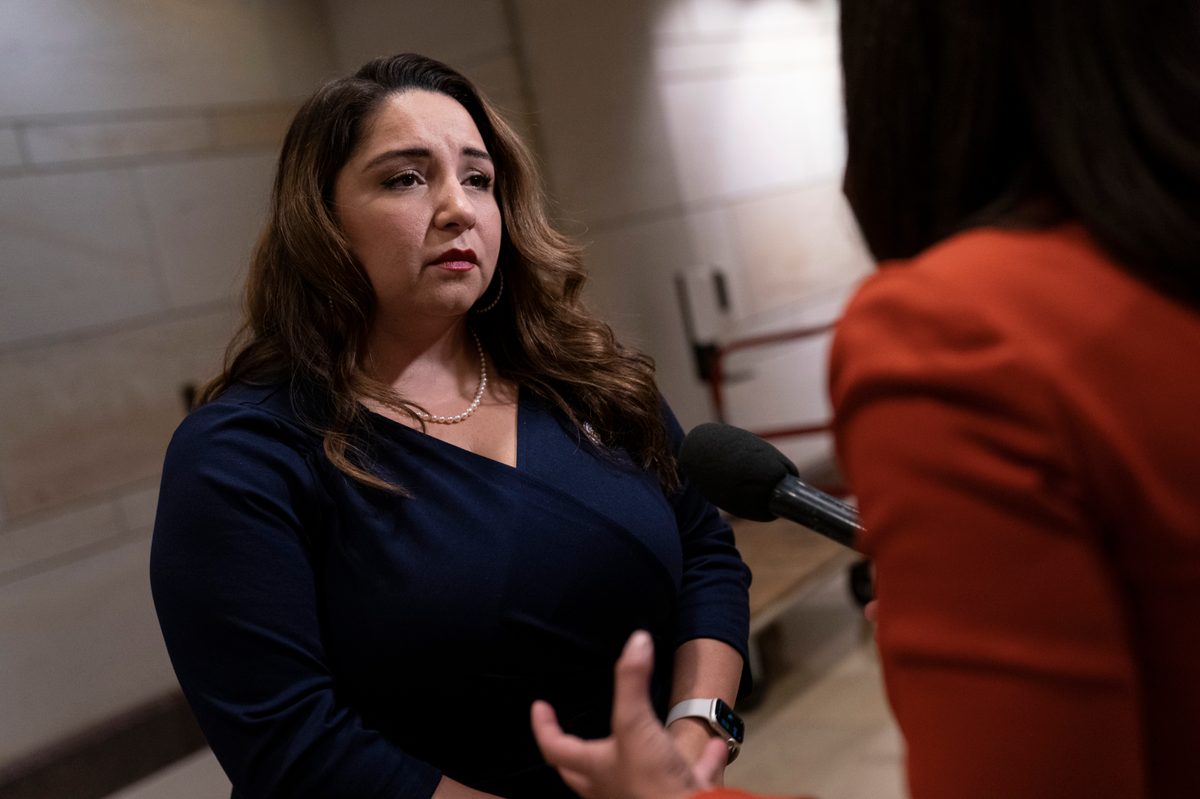 “I Was Sent Here to Fight for Shared Humanity”: Rep. Delia Ramirez on ...