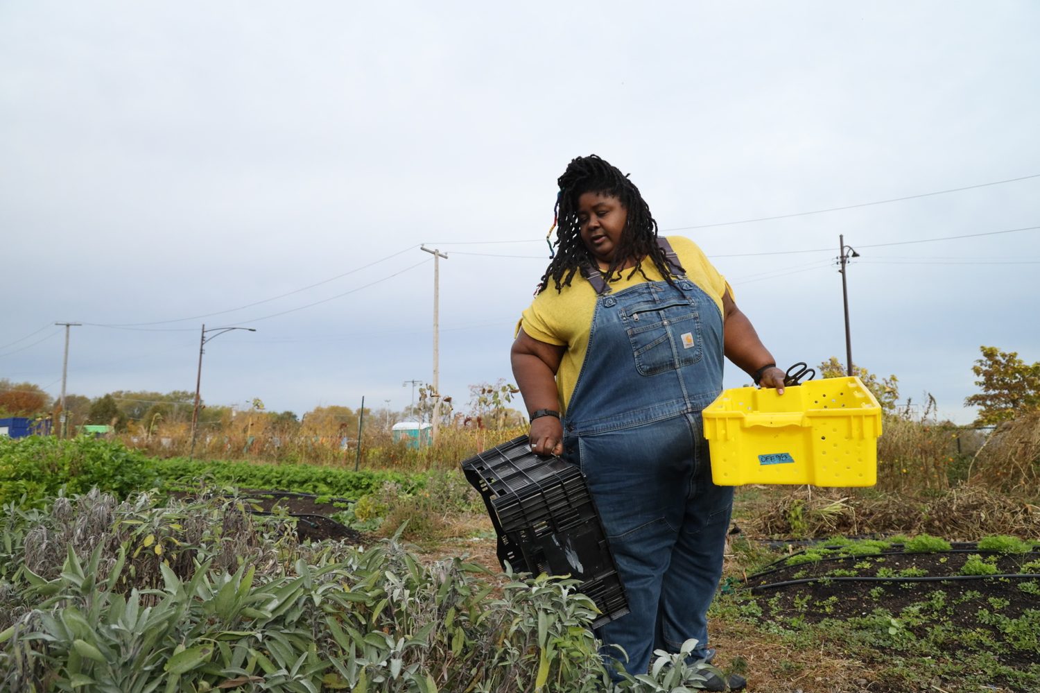 Queering the Family Farm: Meet the LGBTQ Midwest Farmers Taking Food ...